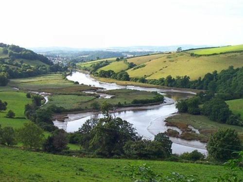 The Watermans Arms - Totnes