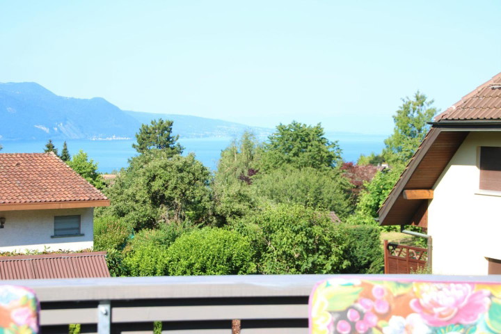 Les Narcisses - Montreux