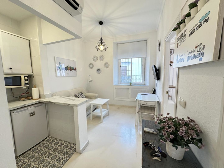 Encantador Apartamento En El Centro De Sevilla - Séville