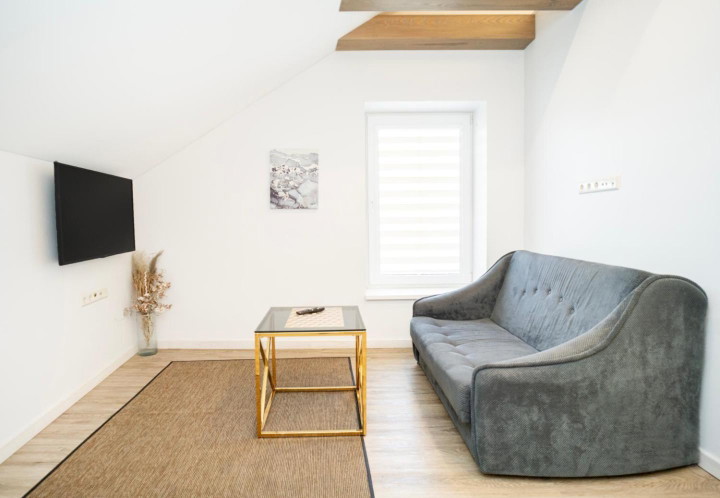 Kaunas Castle Apartments - Studio - Belarus