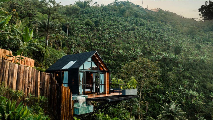 Selva Negra Cabins - Marsella