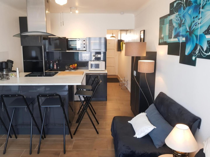 Appartement Agréable à Argeles-sur-mer 35 M² Vue Mer - Collioure