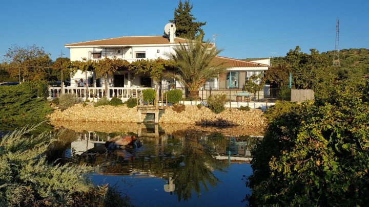 Casa Olivar B&b - Spain