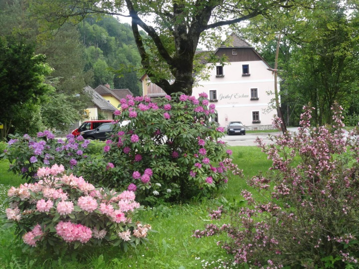 Gasthof Eschau - Hochkar