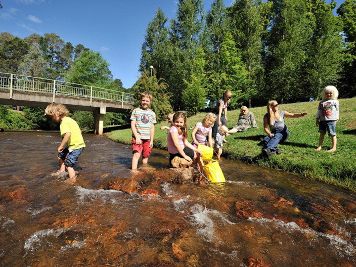 Nrma Bright Holiday Park - Victoria