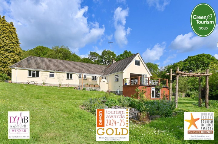 Wray Valley B&b - Sustainable Rural Dartmoor Escape - Dartmoor Forest