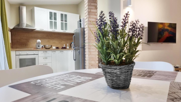 Old Town City Center Apartment - Ruse