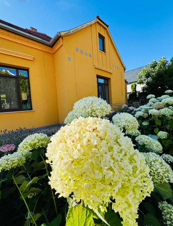 Füredi Virág Villa - Zamárdi