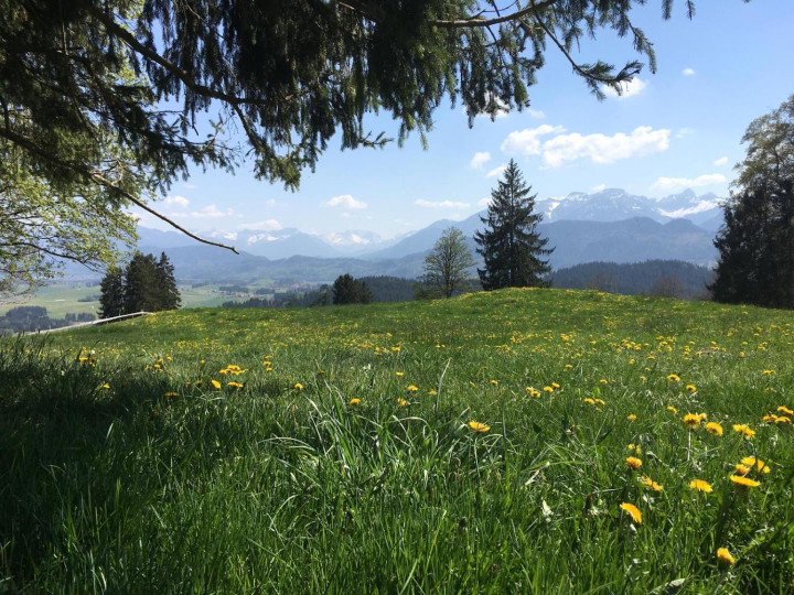 Downtown - Schwangau