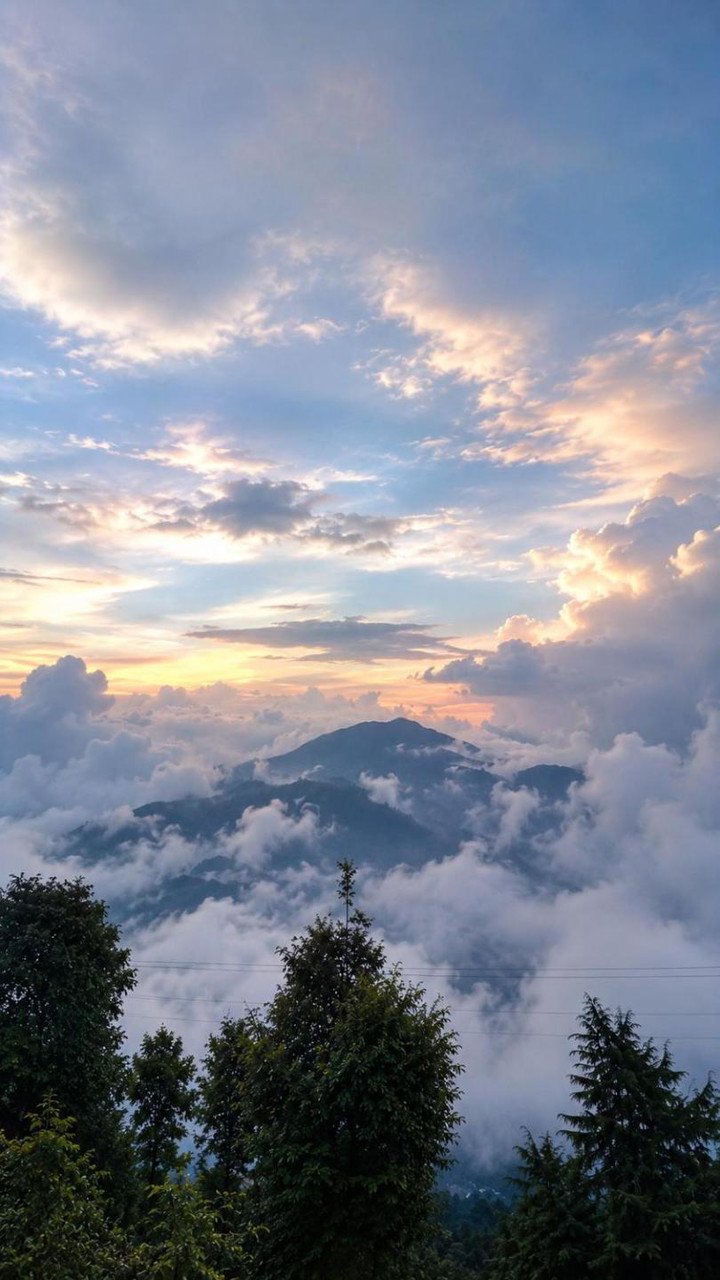 Bliss Of Nature Resort - Himachal Pradesh