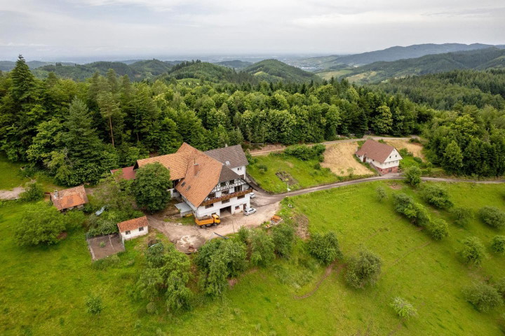 Grüner Ausblick - Oberkirch