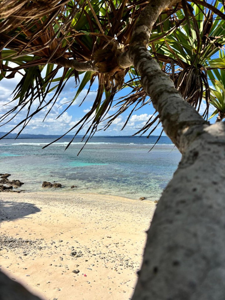 Birdies Beach House, Private Beach, Surf & Snorkel - Vanuatu