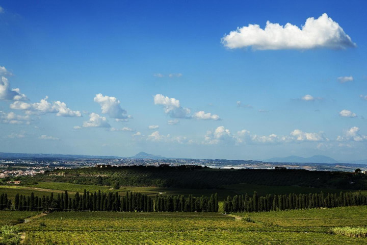 Merumalia Wine Resort - Frascati