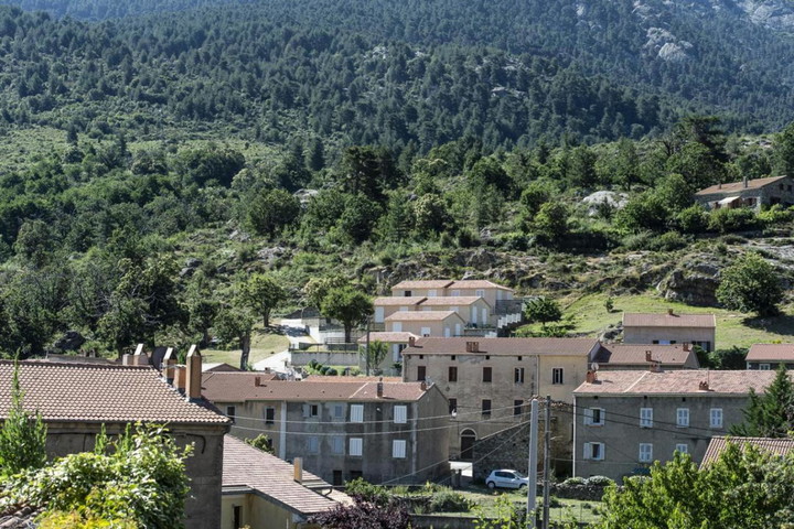 Terrasse De Malbeccu - Corte