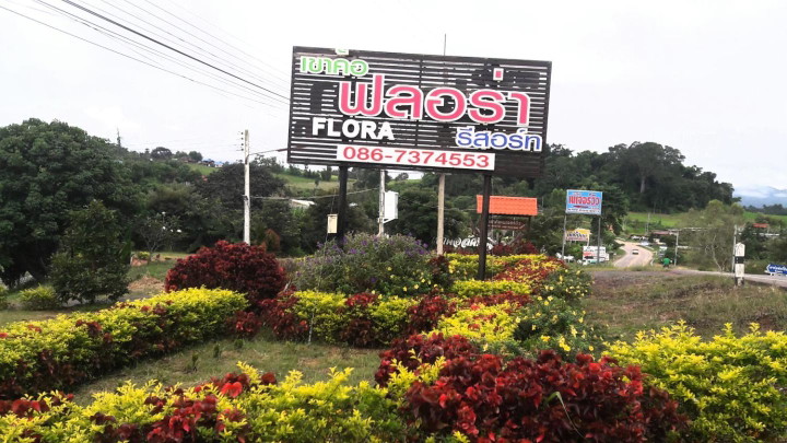 Khao Kho Flora - Thailand