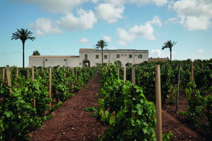 Agriturismo Baglio Donnafranca Wine Resort - Marsala