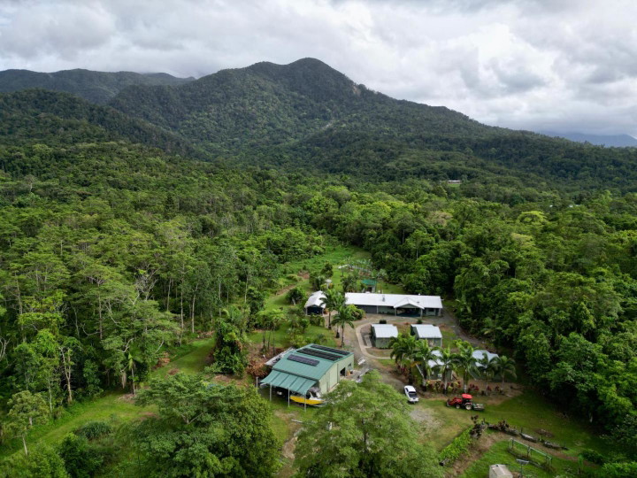 Daintree Peaks Eco Stays - Daintree