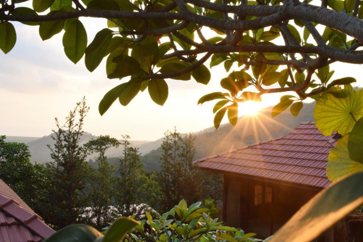 Bao Sheng Durian Farm - Malaysia