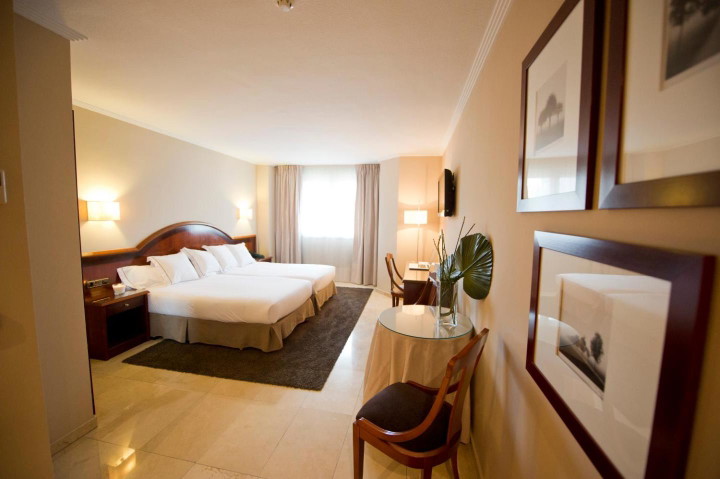 Hotel San Pedro - Mieres del Camino