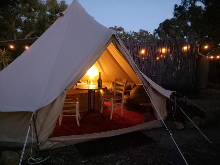 Macedon Ranges Glamping With Kangaroos - Tent - Macedon