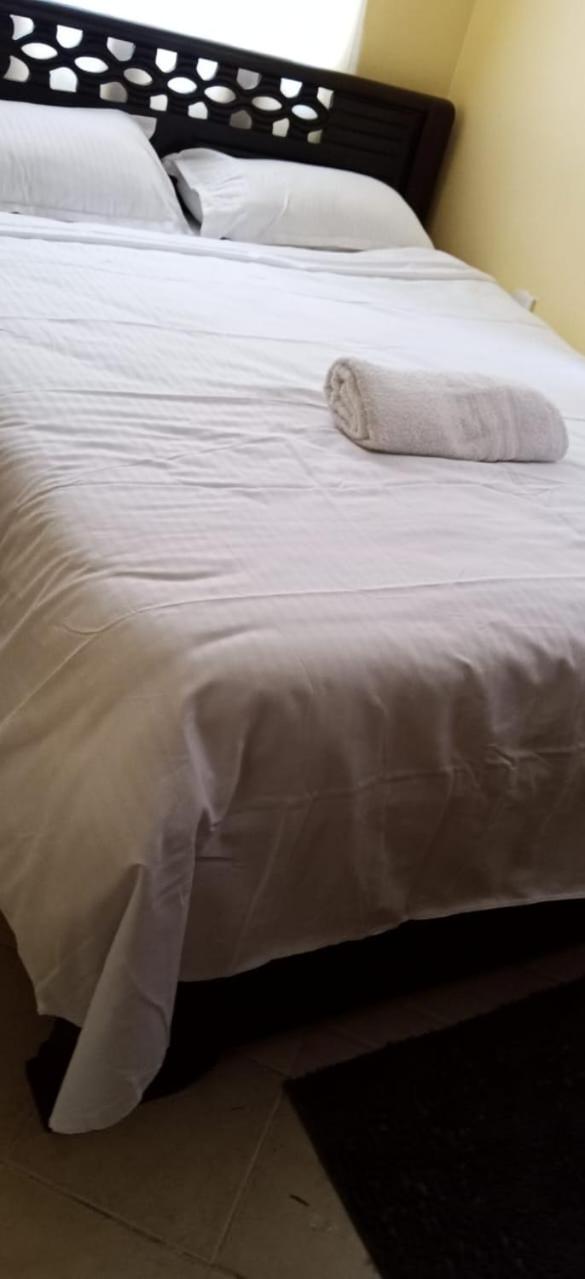 Skyland Cosy Apartment - Kisumu