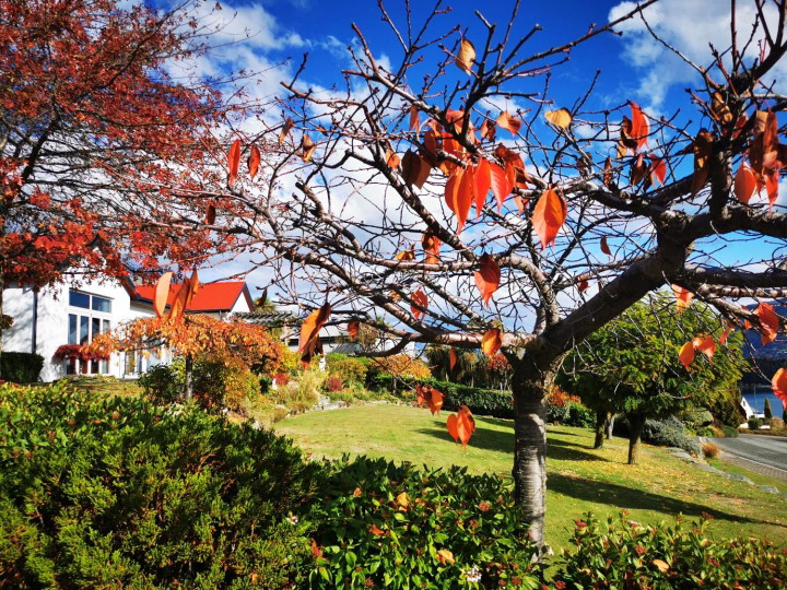 Kelvin Garden Villa - Arrowtown