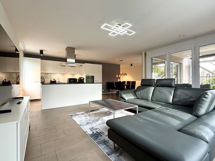 Swiss Suites Residence - Seengen - Aarau