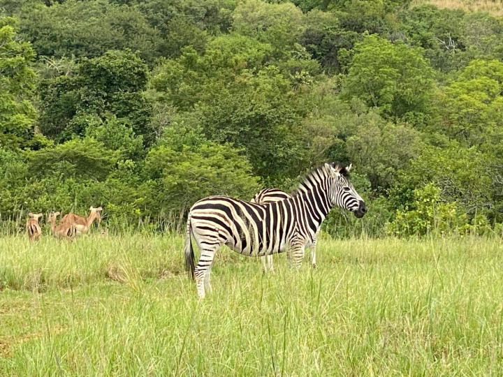 Wide Horizons Mountain Retreat, Eswatini, Swaziland, 26km From Malkerns - Eswatini