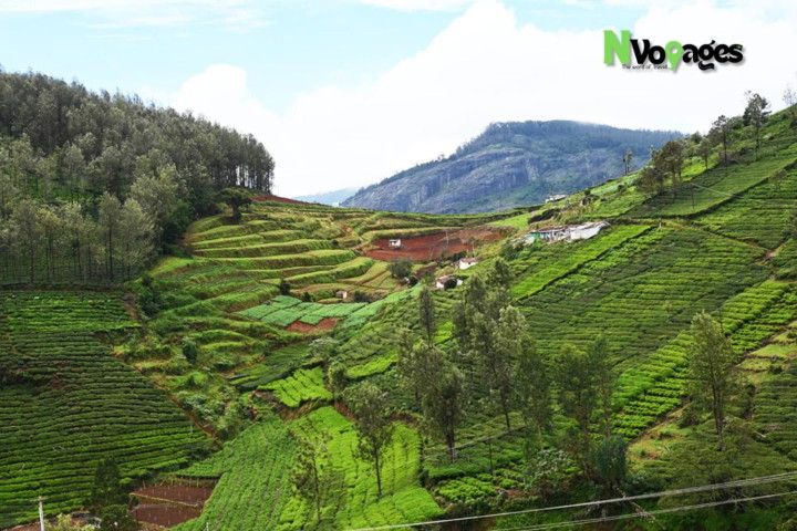 Nvoyages Side Ooty - Coonoor