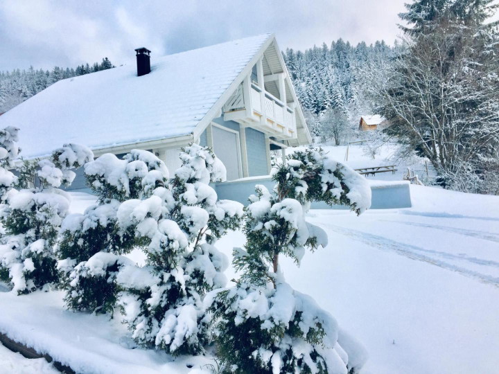 Chalet Le Flocon Bleu - Mauselaine Avec Vue Sur Le Lac De Gérardmer - La Bresse