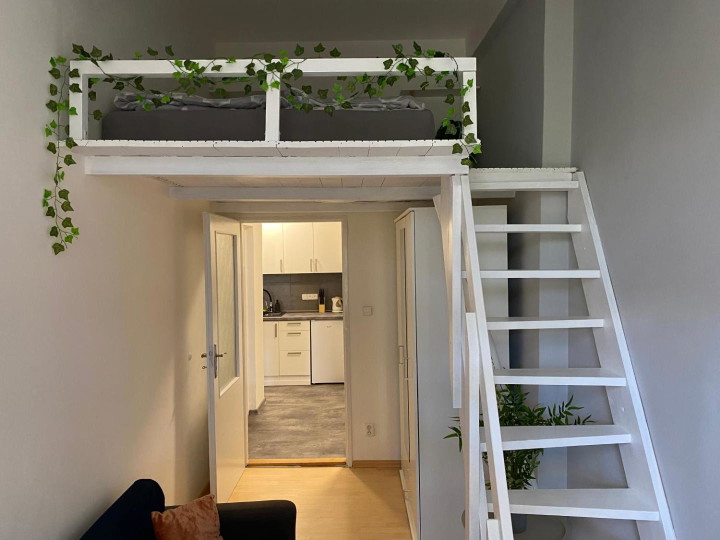 Downtown Flat Under Spilberk Castle - Brno