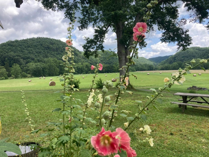 Gorgeous Cabin Stay Near I-77, Views, Antiques, Wi-fi, Wonderful Experience For 2! - 西維吉尼亞