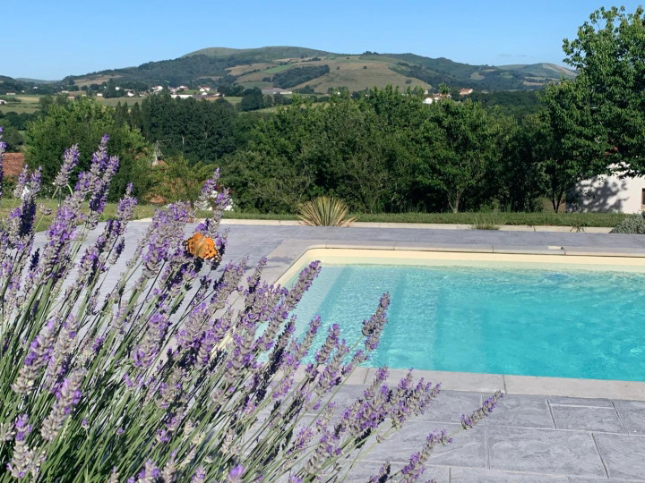 Le Cocon Laina Piscine & Spa Optionnel - Baztan