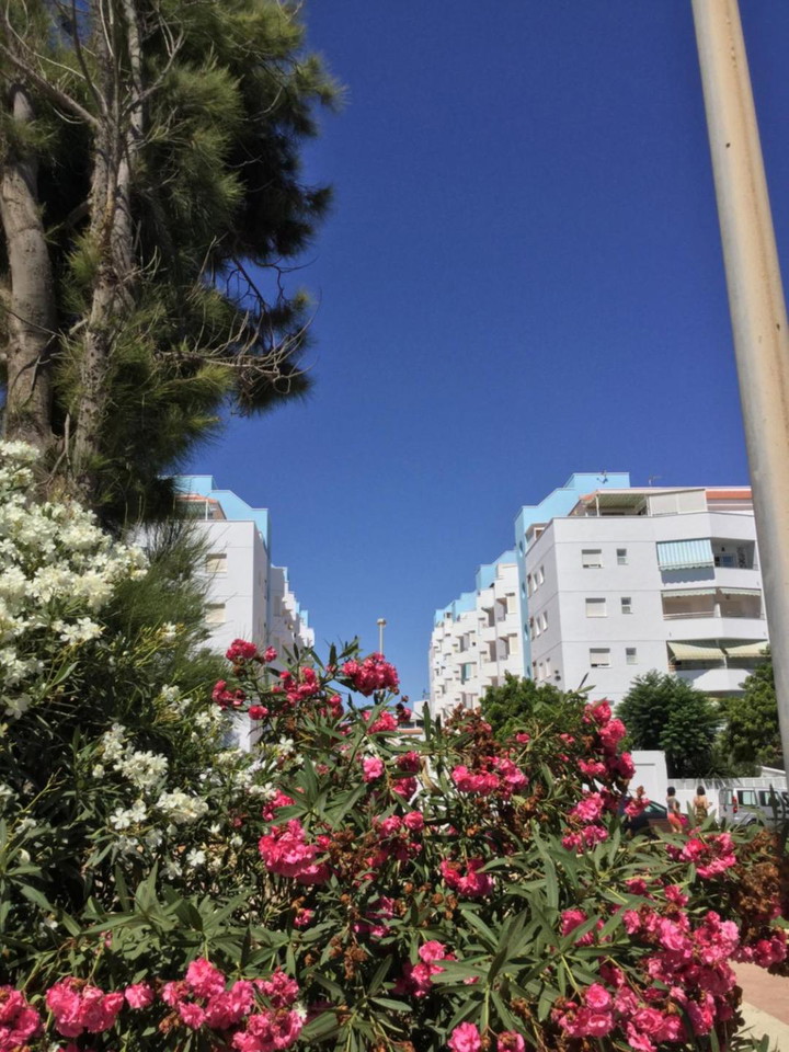 La Perla Azul Playa - Terraza Al Sol - Roquetas de Mar