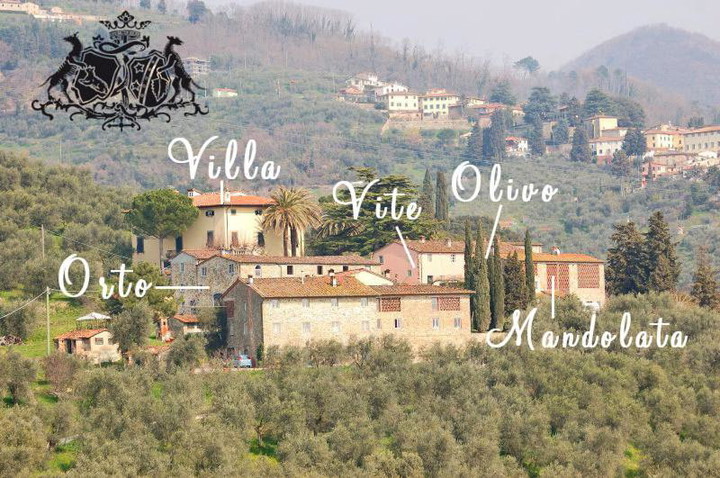 Fattoria Di Fubbiano - Toscana