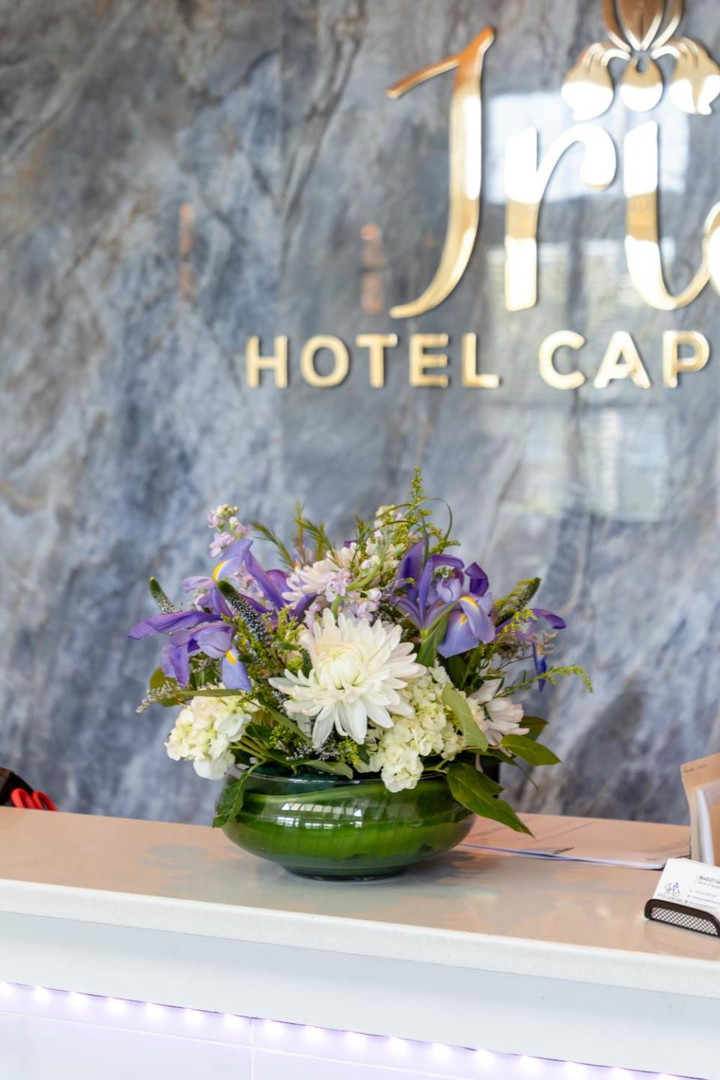 Iris Hotel Cape Cod - Woods Hole, MA