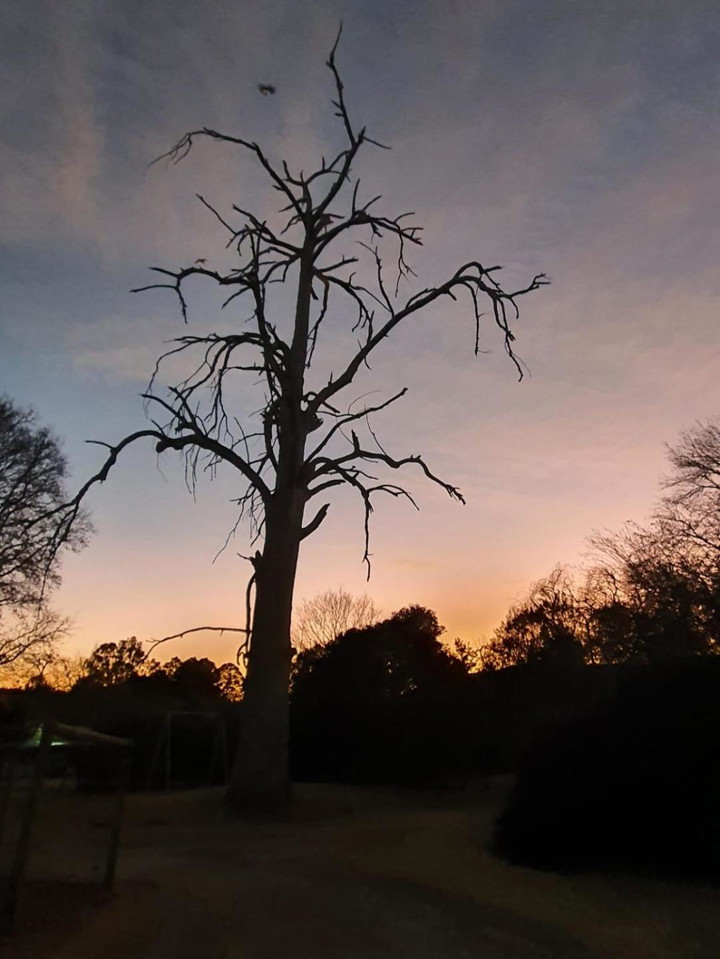 Acorns And Quackers Self Catering - Underberg