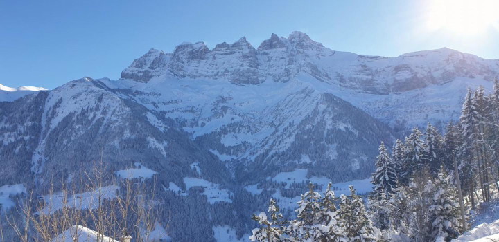 Chalet Le Grenier Des Crosets, Vue Exceptionnelle Sur Les Dents Du Midi - Avoriaz