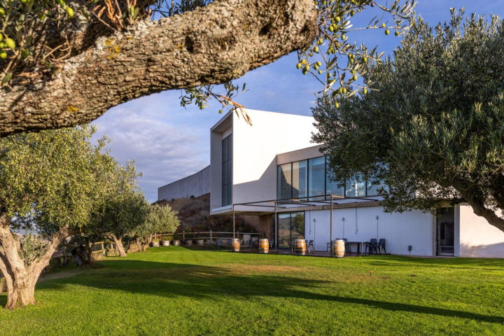 Hotel-bodega Finca De Los Arandinos - Navarrete