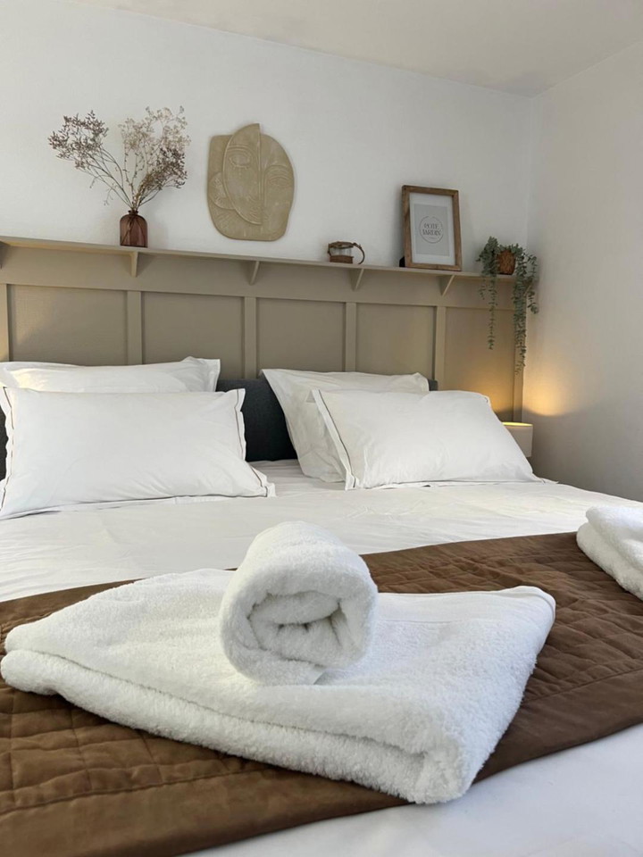 Appartement T1 Côté Jardin à Thionville - Thionville