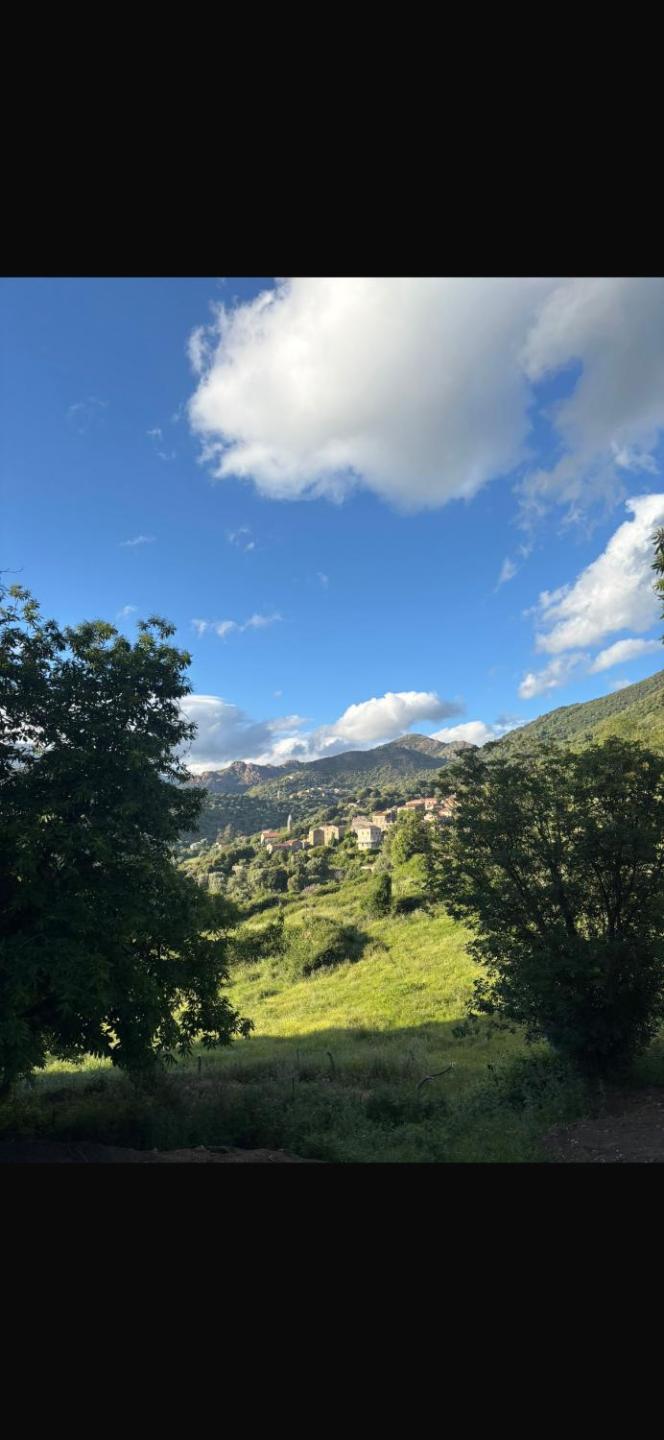 Chalet En Corse - Propriano