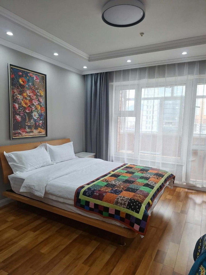 Undraa's Cosy Small Apt - Ulaanbaatar