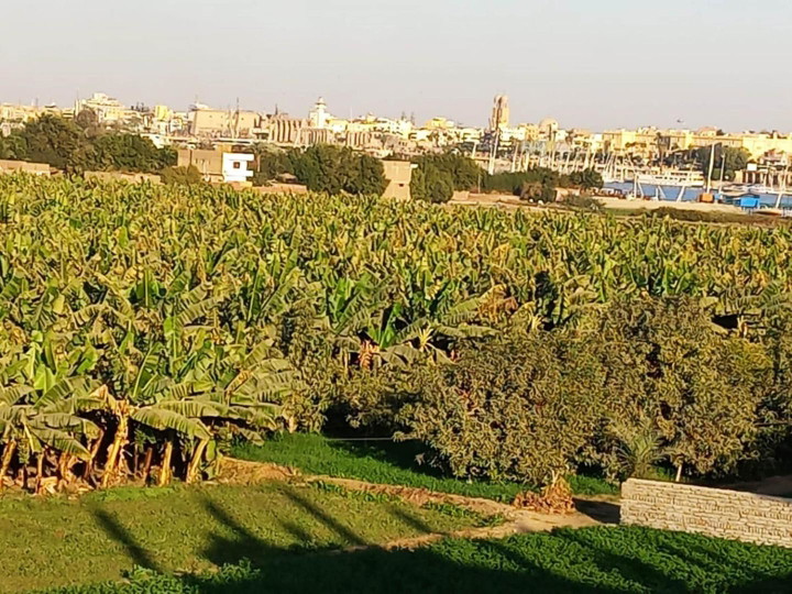 Lucky Guest House - Luxor
