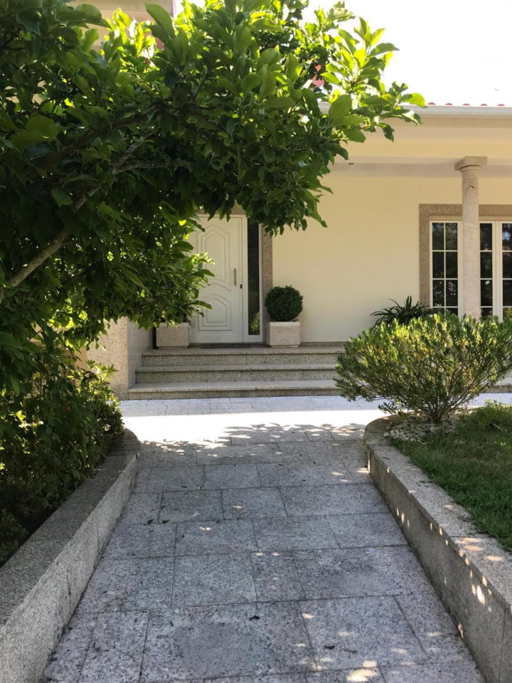 Camelias - Guimarães