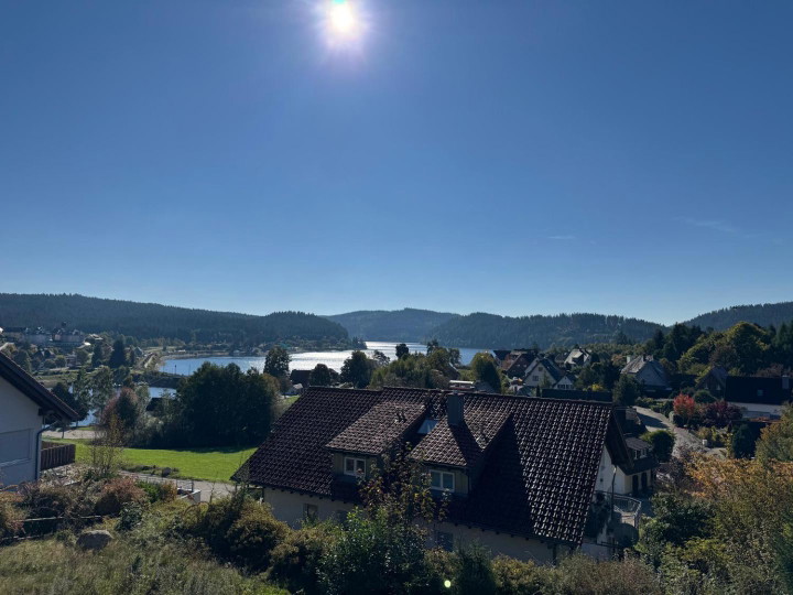 Lakeview Apartment - Sankt Blasien