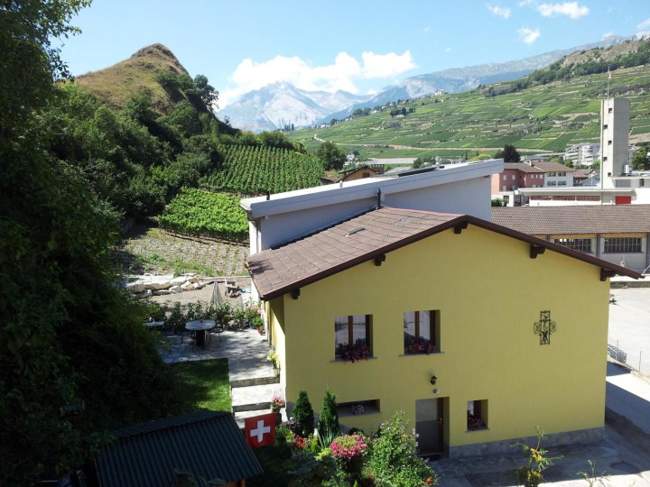 Le Merle Châtelain - Crans-Montana