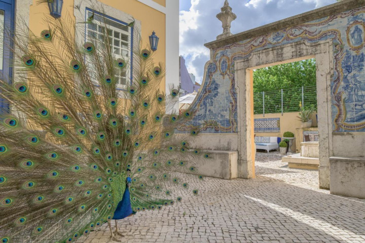 Heritage Solar Do Castelo Inn - Alfama - Alfama