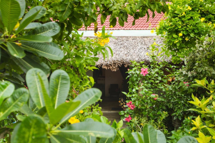 An Bang Purple Homestay - Hội An