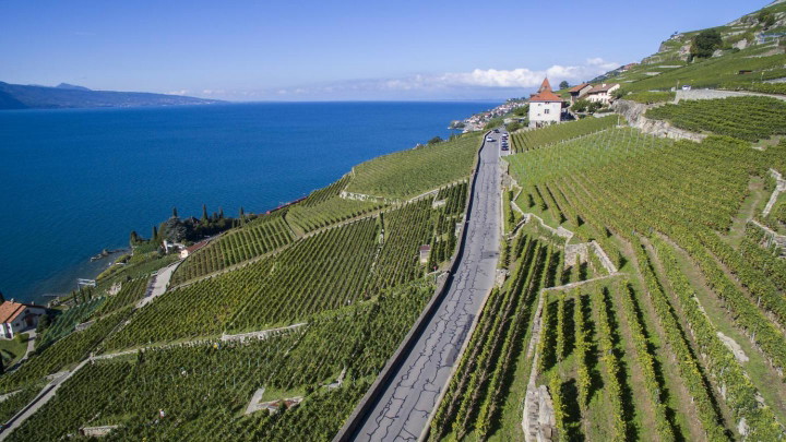 Domaine Du Burignon - Lausanne