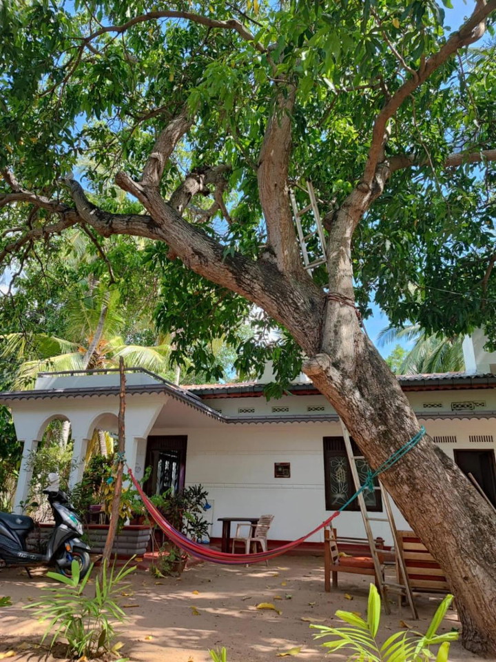 The White House - Sri Lanka